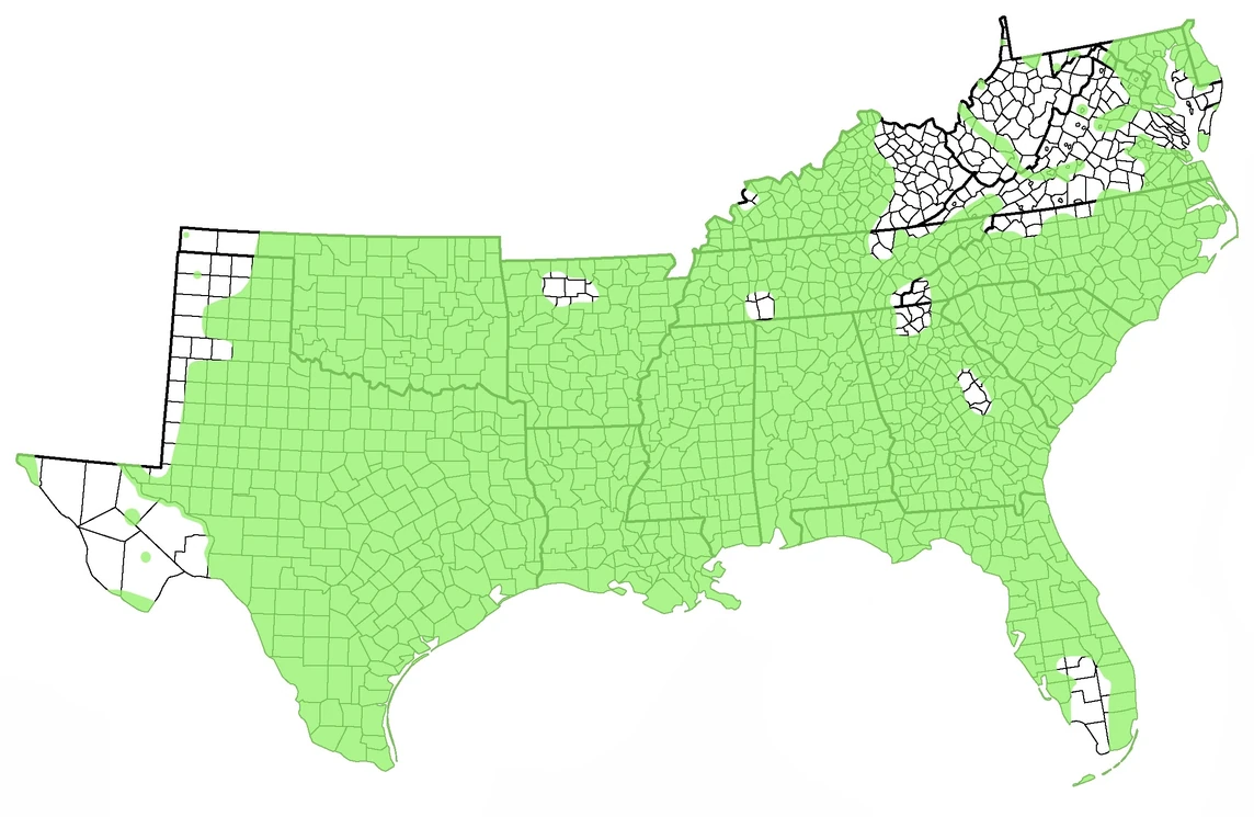 Trachemys scripta-Pond Slider | Wildlife of the American South Wiki ...