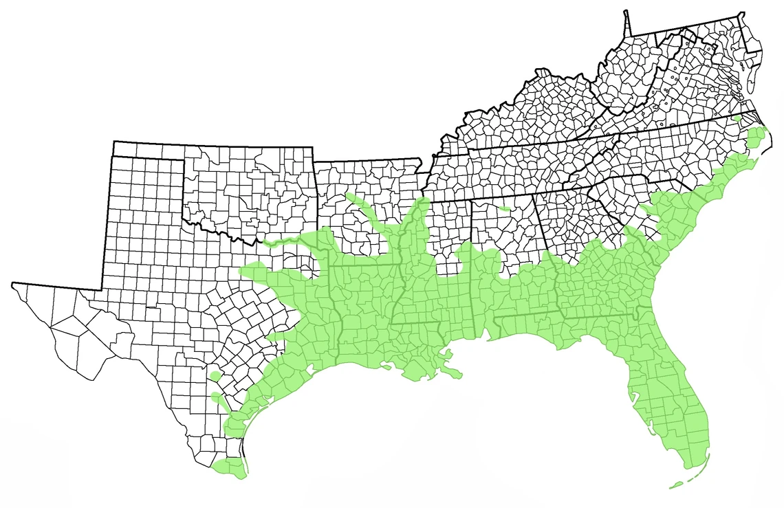 Alligator mississippiensis-American Alligator | Wildlife of the ...