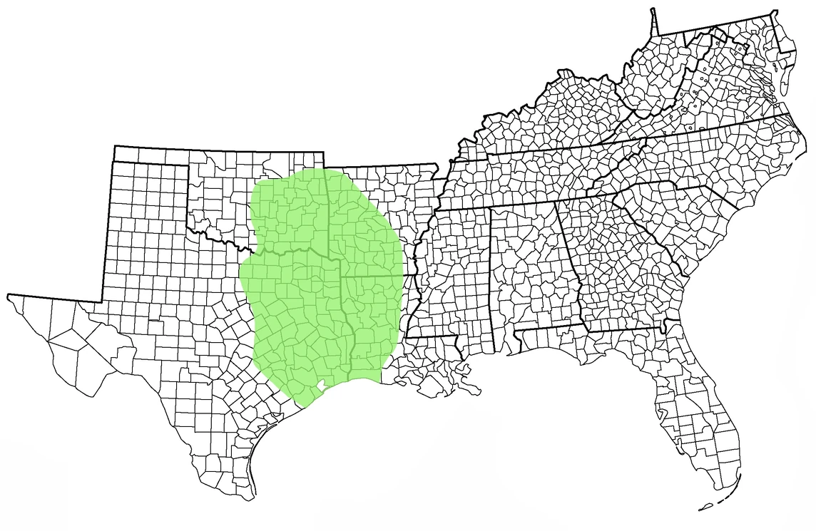 Geomys breviceps-Baird's Pocket Gopher | Wildlife of the American South ...