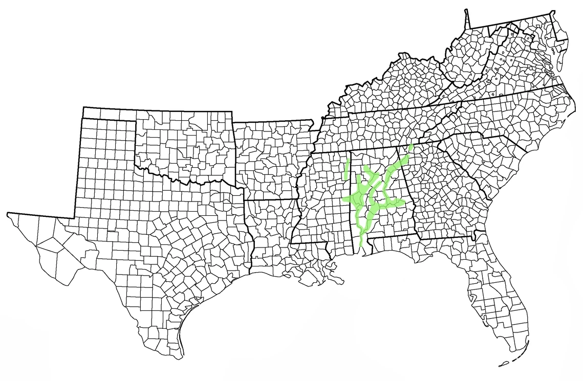Graptemys pulchra-Alabama Map Turtle | Wildlife of the American South ...