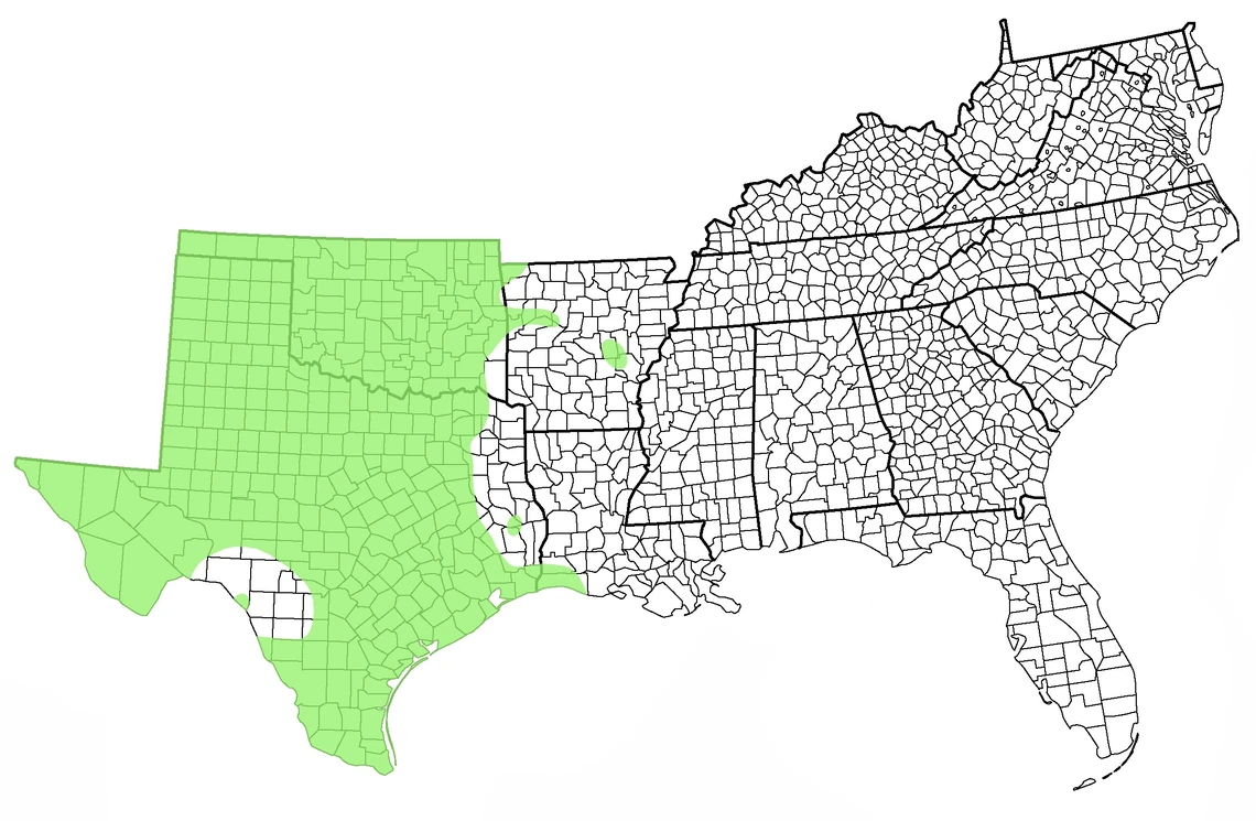 Terrapene ornata-Ornate Box Turtle | Wildlife of the American South ...