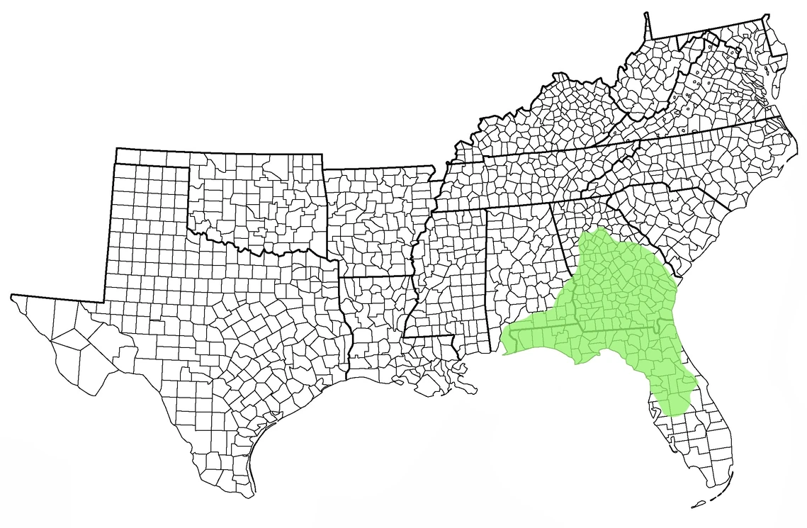 Sternotherus minor-Loggerhead Musk Turtle | Wildlife of the American ...