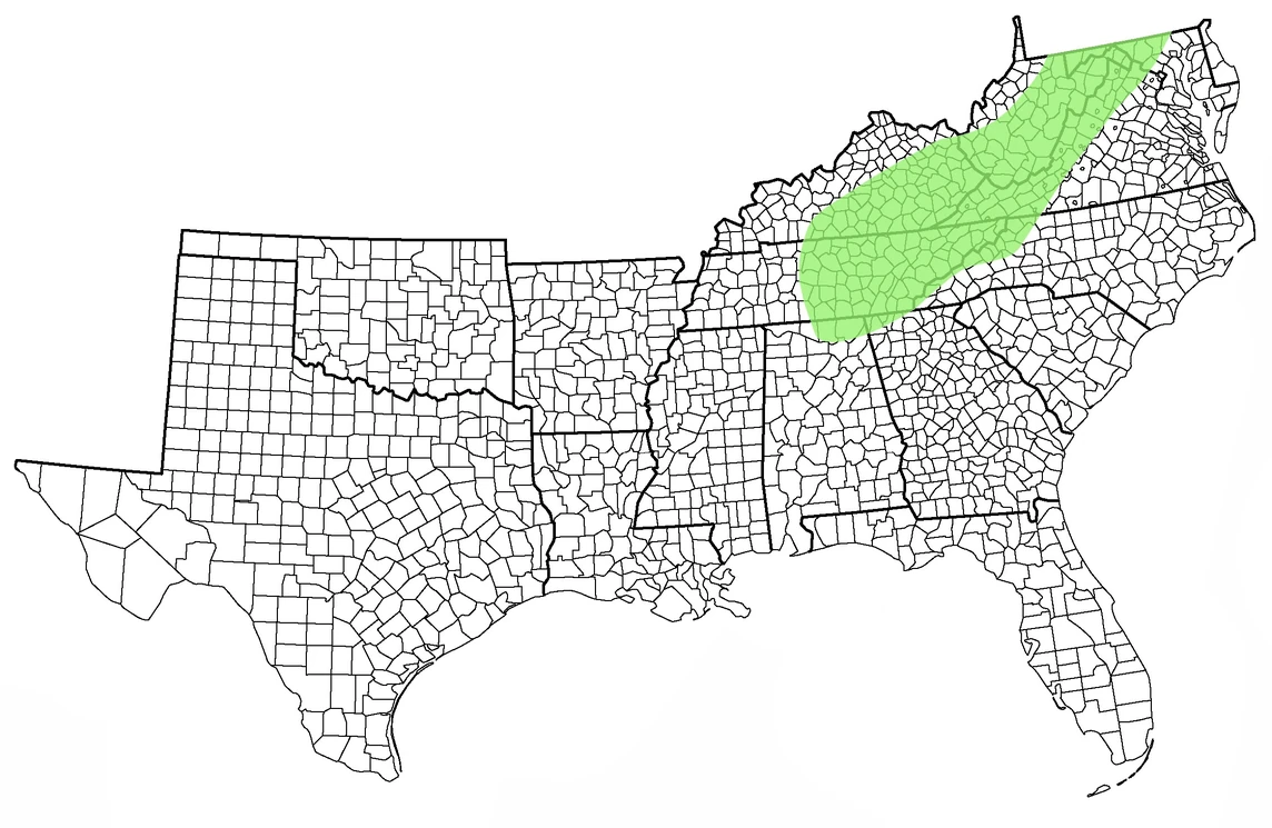 Neotoma magister-Allegheny Woodrat | Wildlife of the American South ...