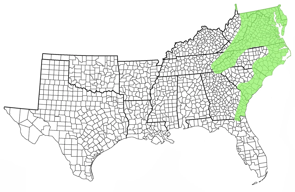 Condylura cristata-Star-nosed Mole | Wildlife of the American South ...