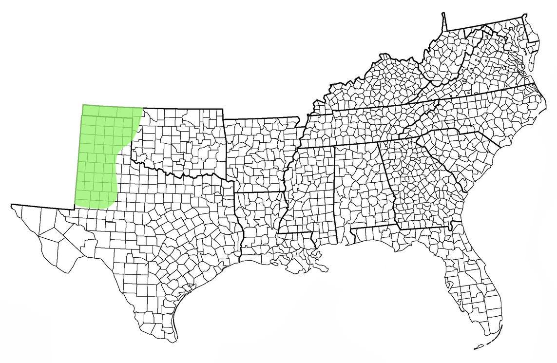 Vulpes velox-Swift Fox | Wildlife of the American South Wiki | Fandom