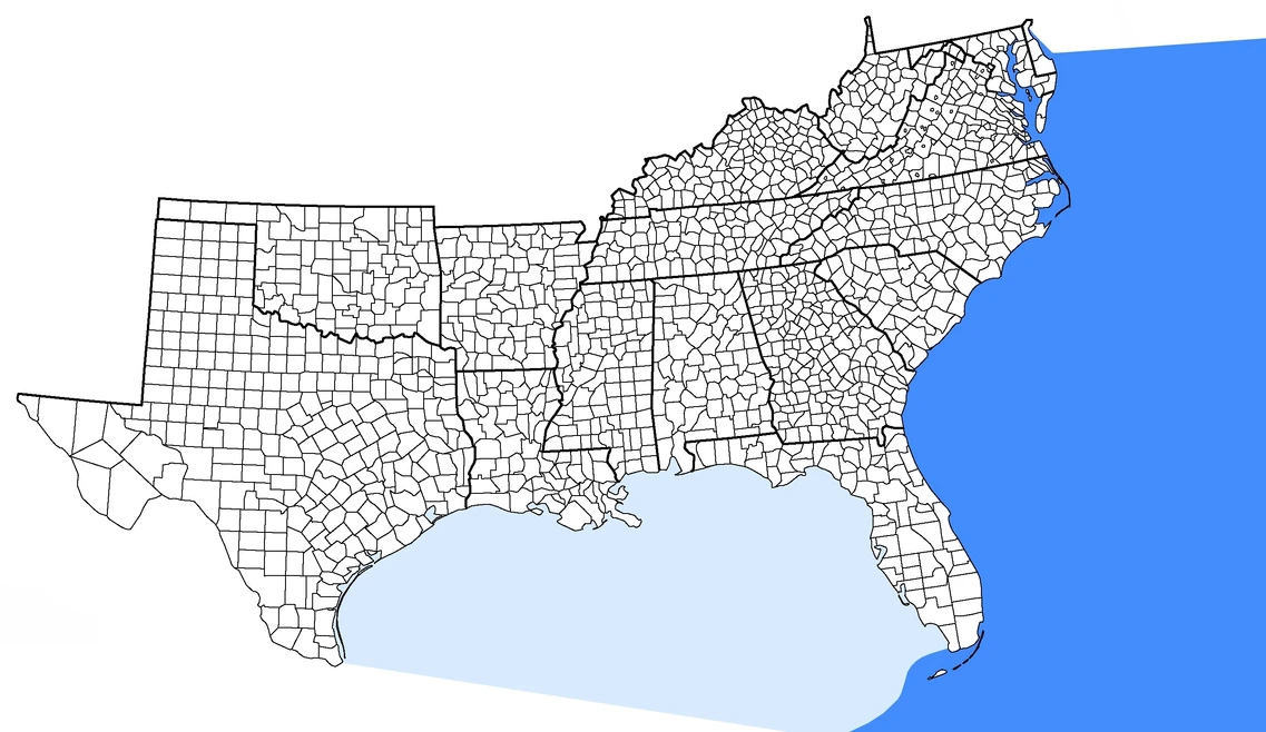 Balaenoptera physalus-Fin Whale | Wildlife of the American South Wiki ...