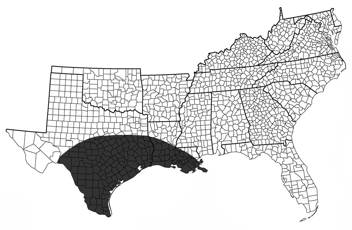 Panthera onca-Jaguar | Wildlife of the American South Wiki | Fandom