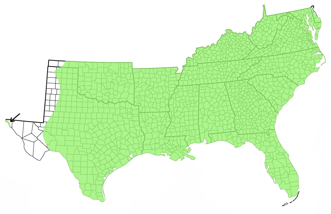 Sciurus niger-Fox Squirrel | Wildlife of the American South Wiki | Fandom