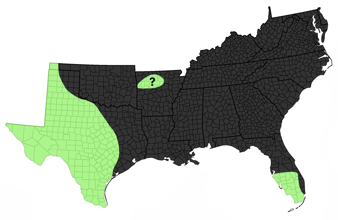 Puma concolor-Cougar | Wildlife of the American South Wiki | Fandom