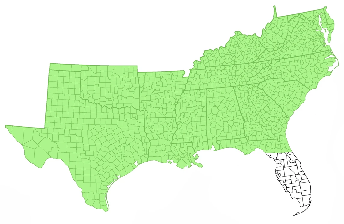Lasiurus cinereus-Hoary Bat | Wildlife of the American South Wiki | Fandom