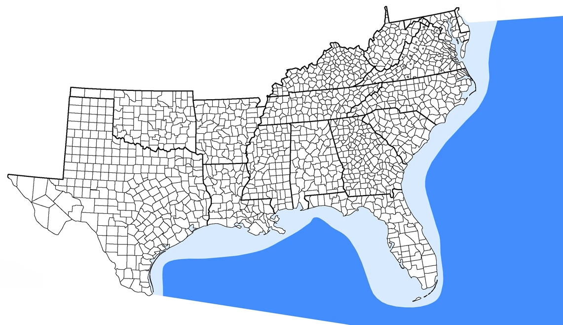 Stenella longirostris-Spinner Dolphin | Wildlife of the American South ...