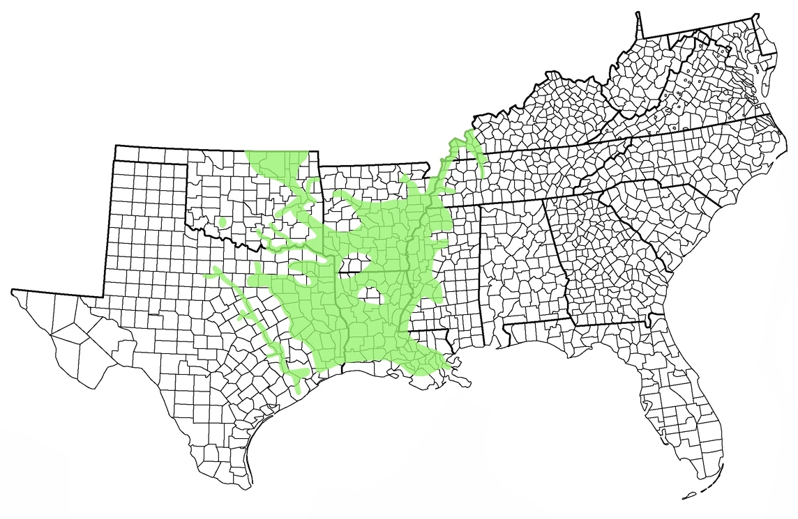 Graptemys pseudogeographica-False Map Turtle | Wildlife of the American ...