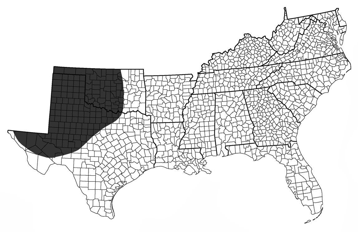 Mustela nigripes-Black-footed Ferret | Wildlife of the American South ...