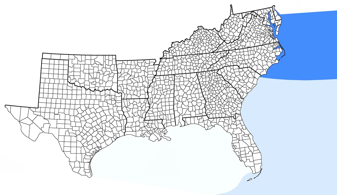 Balaenoptera musculus-Blue Whale | Wildlife of the American South Wiki ...