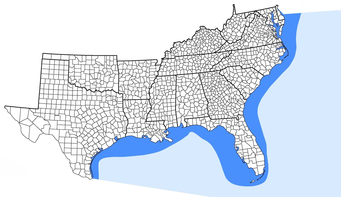 Tursiops truncatus-Common Bottlenose Dolphin | Wildlife of the American ...