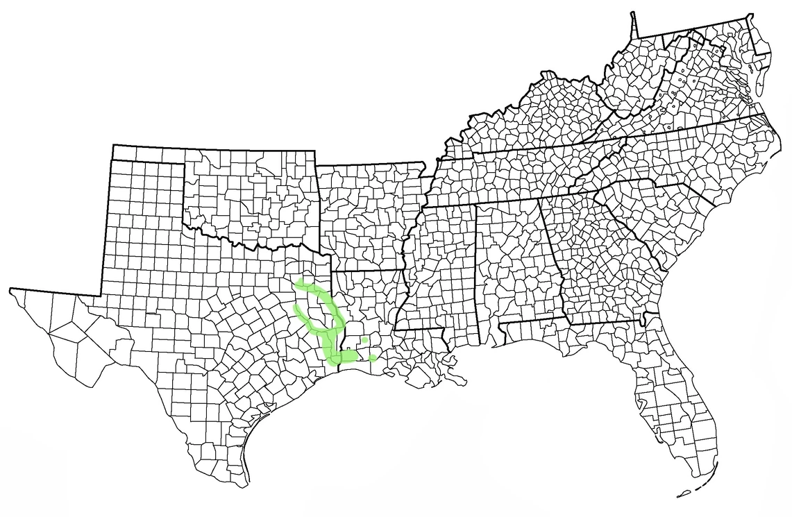 Graptemys sabinensis-Sabine Map Turtle | Wildlife of the American South ...