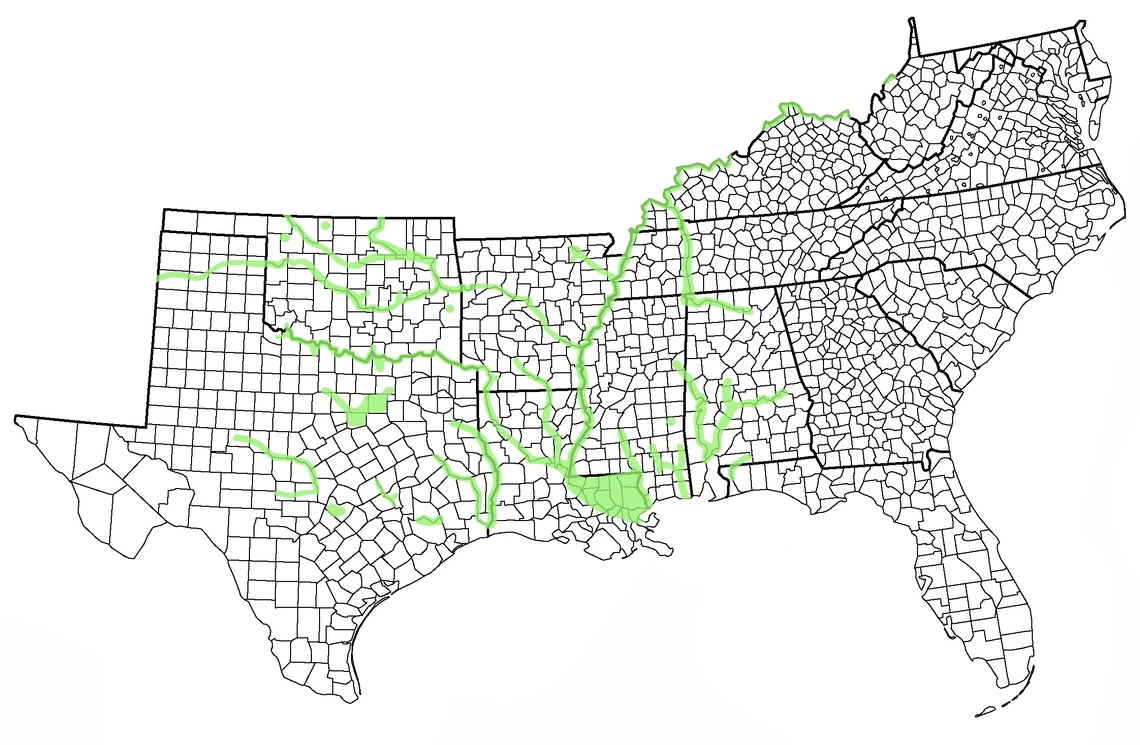 Apalone mutica-Smooth Softshell Turtle | Wildlife of the American South ...