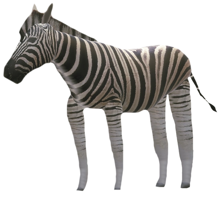 Plains Zebra | Wildlife Zoo World Wiki | Fandom