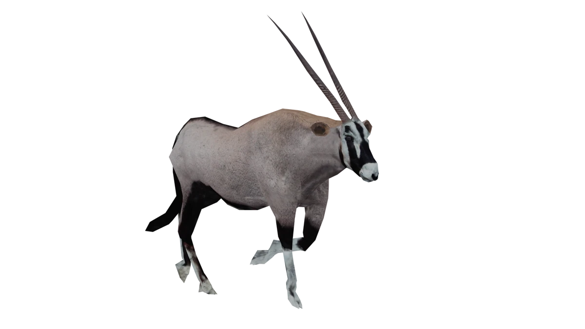 South African Oryx | Wildlife Park 2 Wiki | Fandom