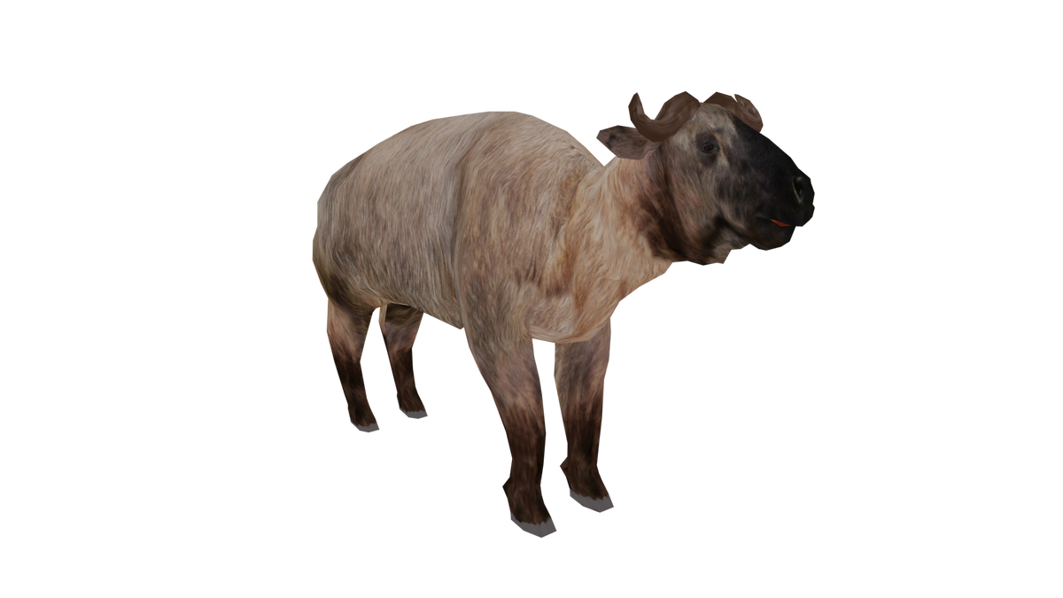 Takin | Wildlife Park 2 Wiki | Fandom