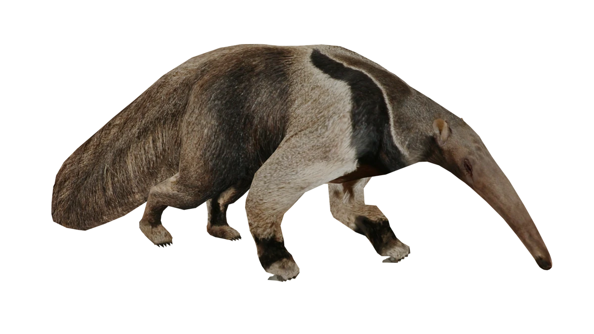 Giant Anteater | Wildlife Park 2 Wiki | Fandom