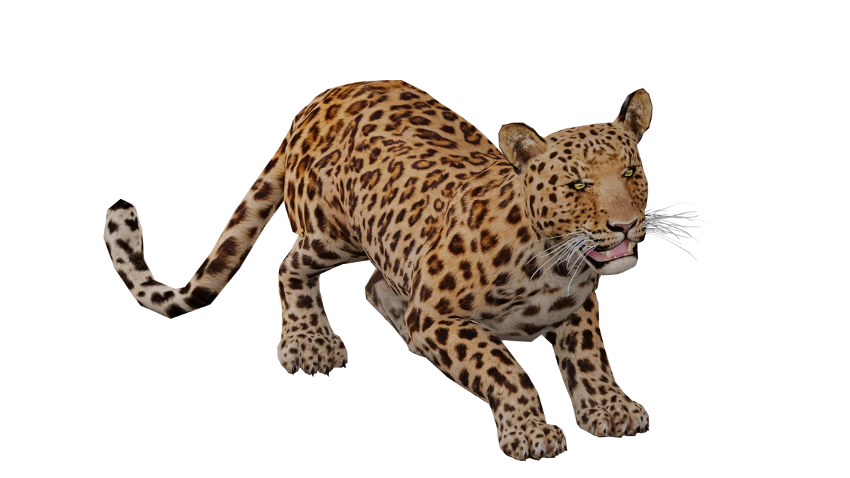 Leopard | Wildlife Park 2 Wiki | Fandom