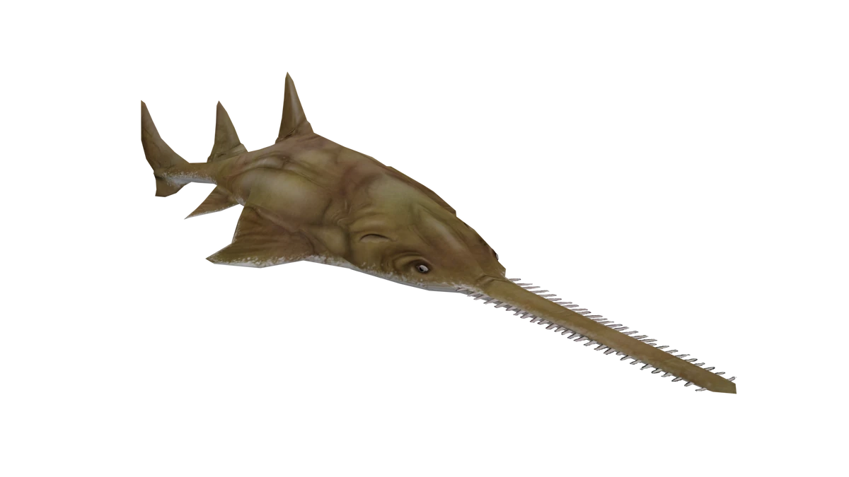 Dwarf Sawfish | Wildlife Park 2 Wiki | Fandom