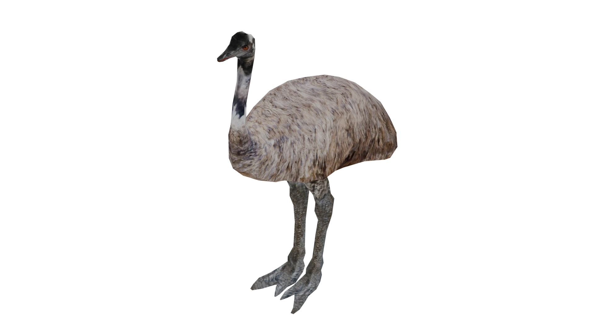 Emu