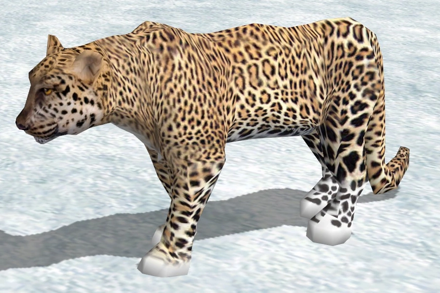 Leopard | Wildlife Park 2 Wiki | Fandom