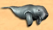 Dugong | Wildlife Park 2 Wiki | Fandom