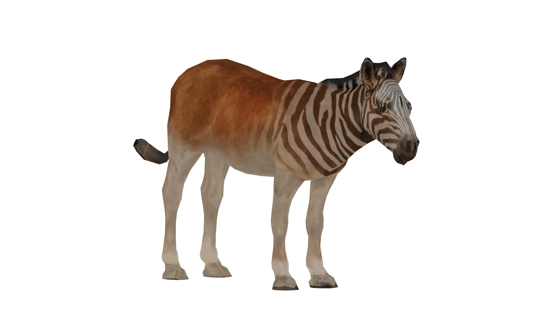 Quagga Monde Animal Wiki Fandom Powered By Wikia Quagga An Overview