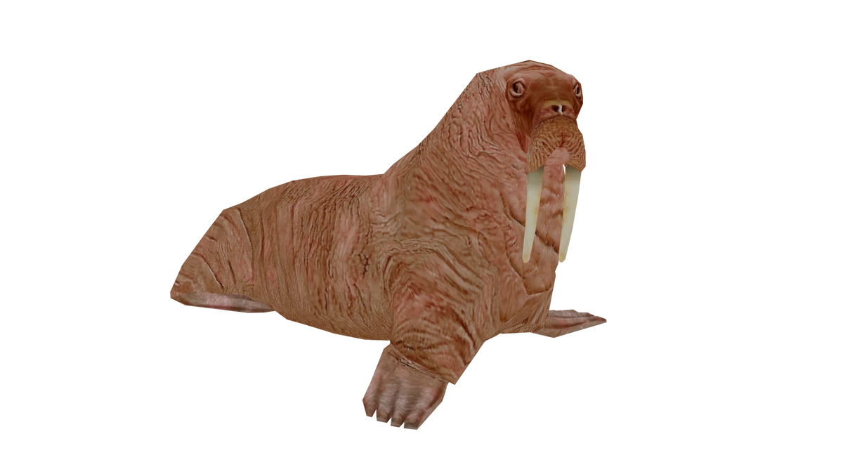 Walrus | Wildlife Park 2 Wiki | Fandom