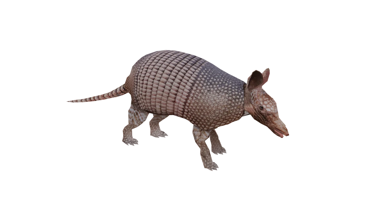 Nine-Banded Armadillo | Wildlife Park 2 Wiki | Fandom