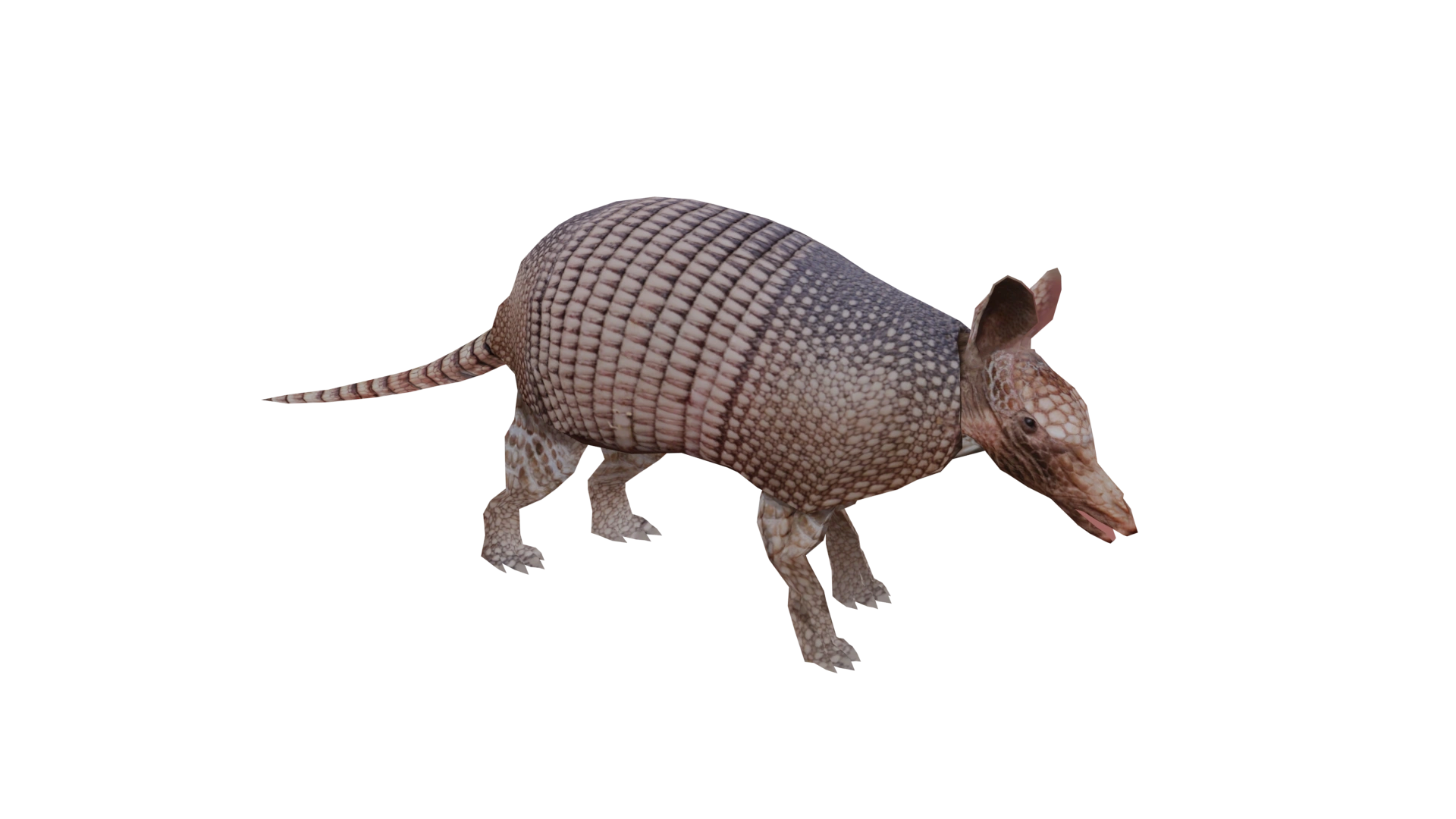 Nine-Banded Armadillo | Wildlife Park 2 Wiki | Fandom