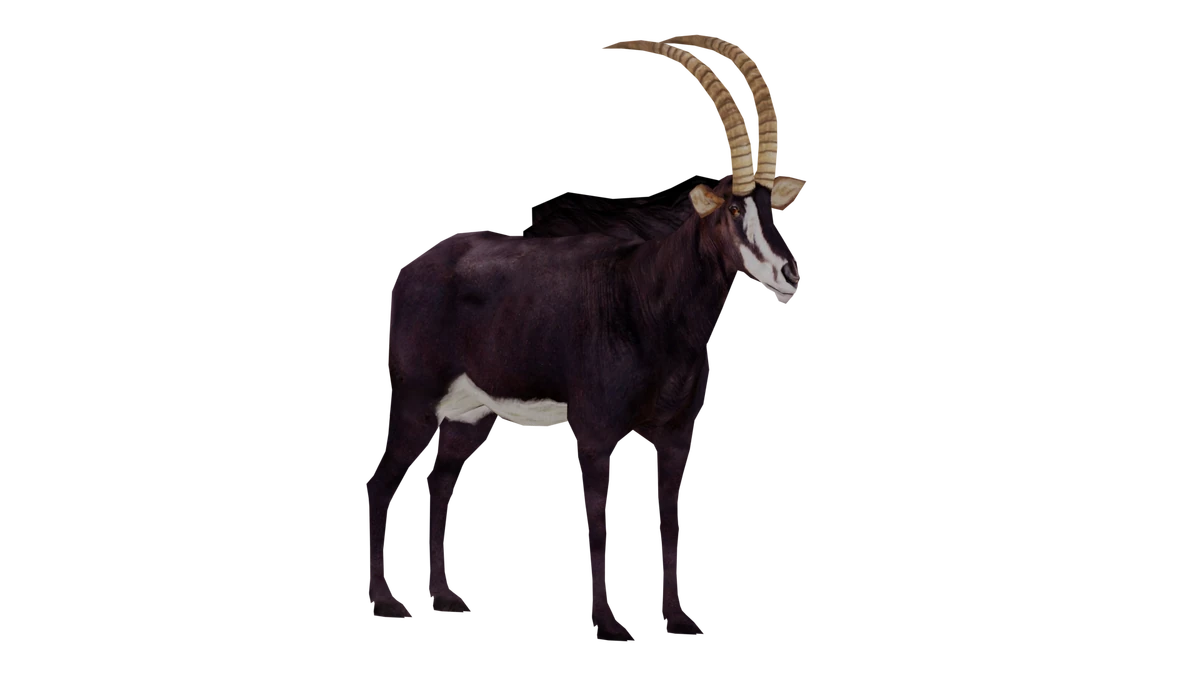 Giant Sable Antelope | Wildlife Park 2 Wiki | Fandom