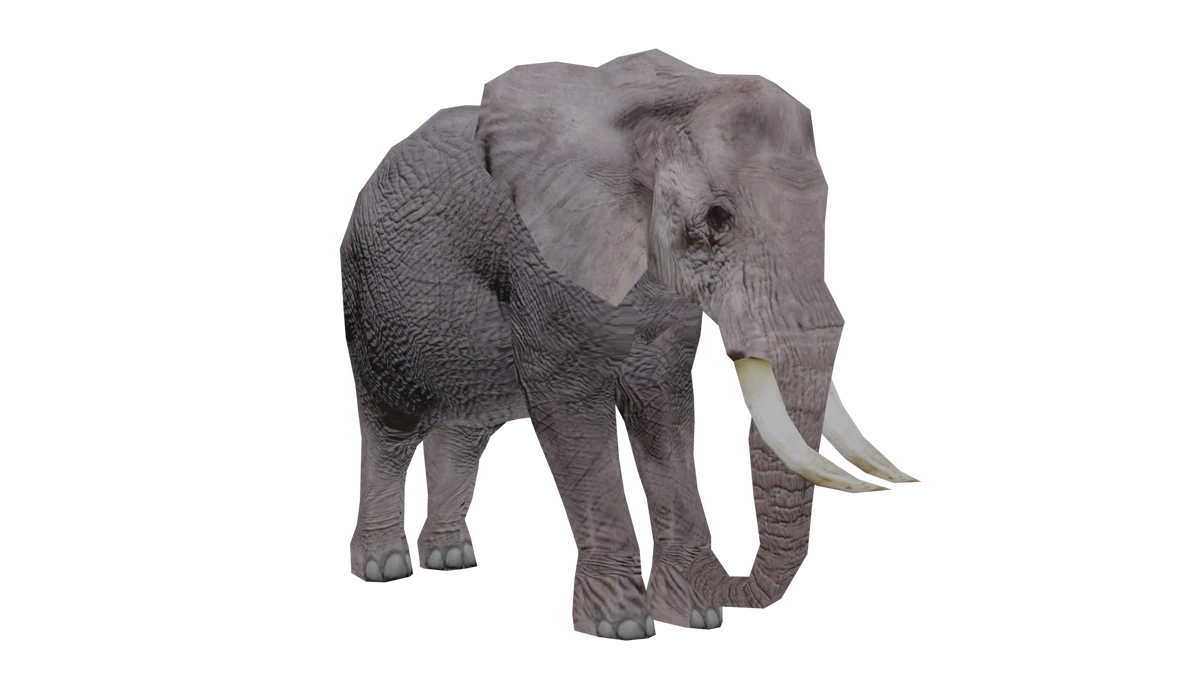 Category:Wildlife Park 3 animals | Wildlife Park 2 Wiki | Fandom