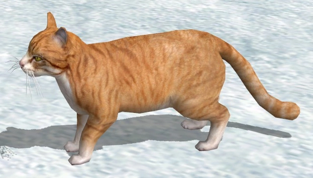 Domestic Cat | Wildlife Park 2 Wiki | Fandom