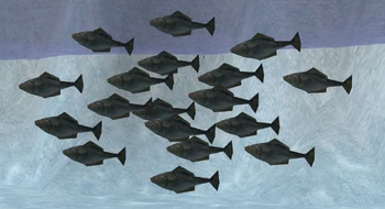 Fish | Wildlife Park 2 Wiki | Fandom