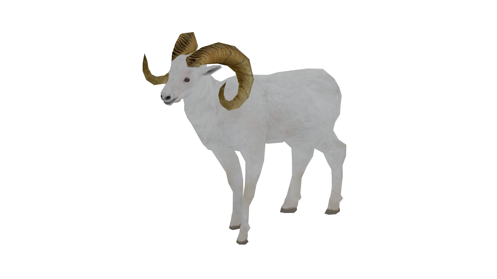 Dall Sheep | Wildlife Park 2 Wiki | Fandom