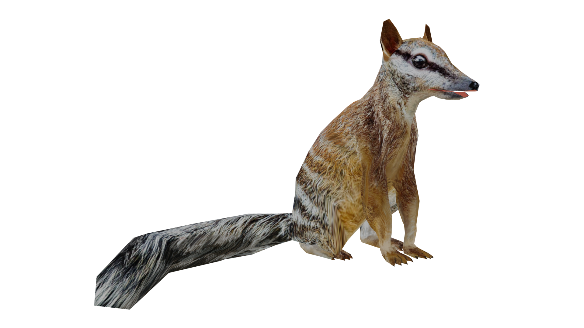 Numbat | Wildlife Park 2 Wiki | Fandom