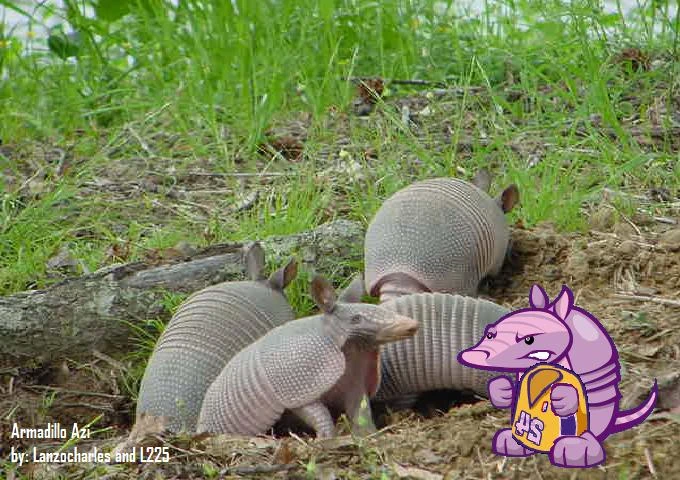 Armadillo Azi | Wild Ones Comic Wiki | Fandom