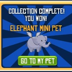 Miniature Pet Elephant