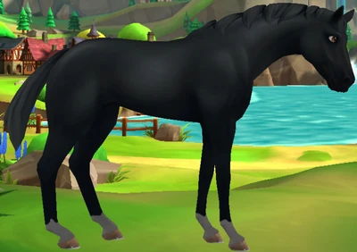 Leg Markings | Wildshade Wiki | Fandom