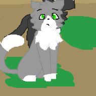 Ashtail | Wild Spirits Wiki | Fandom