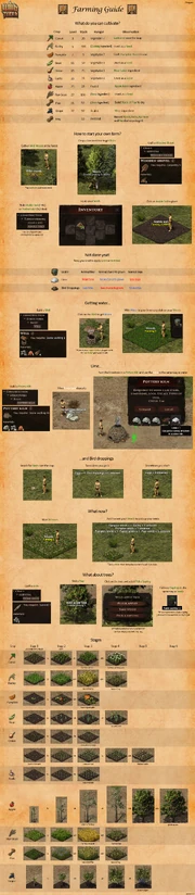 Guides - Official Wild Terra Wiki