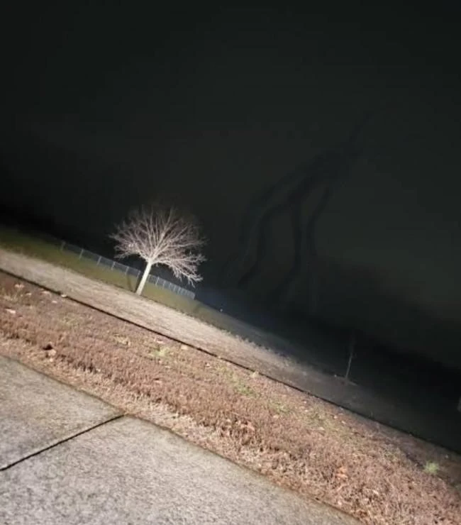 Mr. February | Wilford Inc Wiki | Fandom