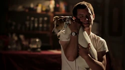 Anger | Wilfred Wiki | Fandom