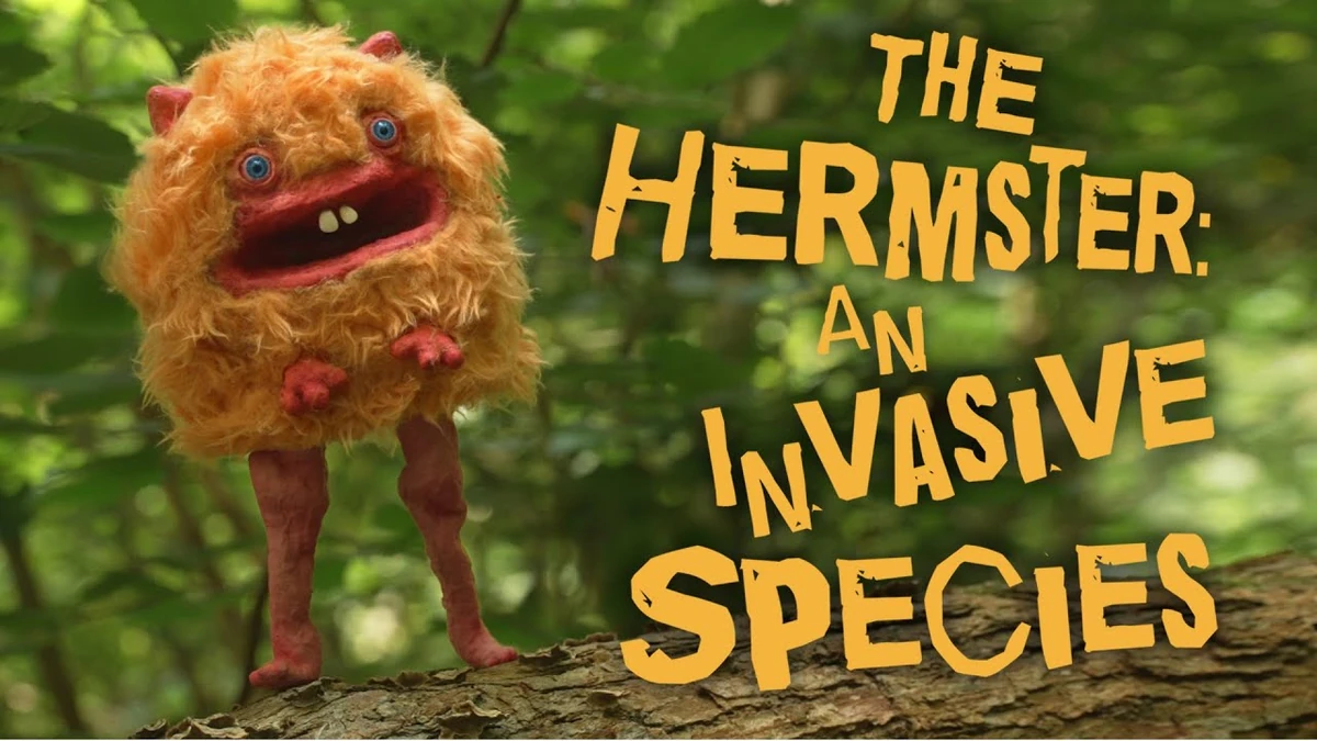 The Hermster: An Invasive Species | Will McDaniel Wiki | Fandom