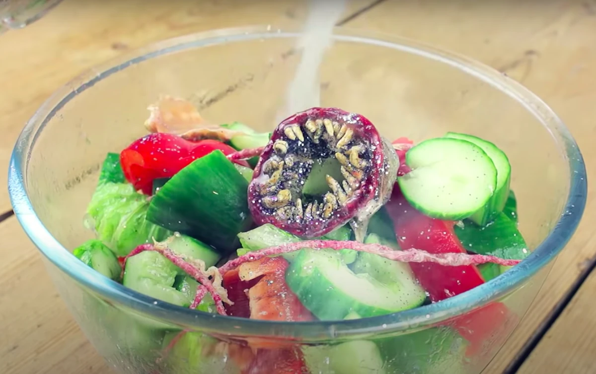How to make a salad from possessed vegetables | Will McDaniel Wiki | Fandom