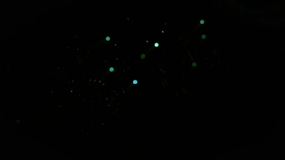 Damned | Will Ryan Originals Wiki | Fandom